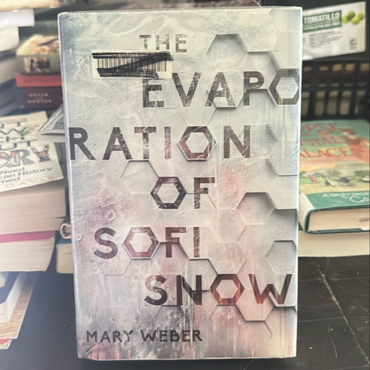 The Evaporation of Sofi Snow by Mary Weber