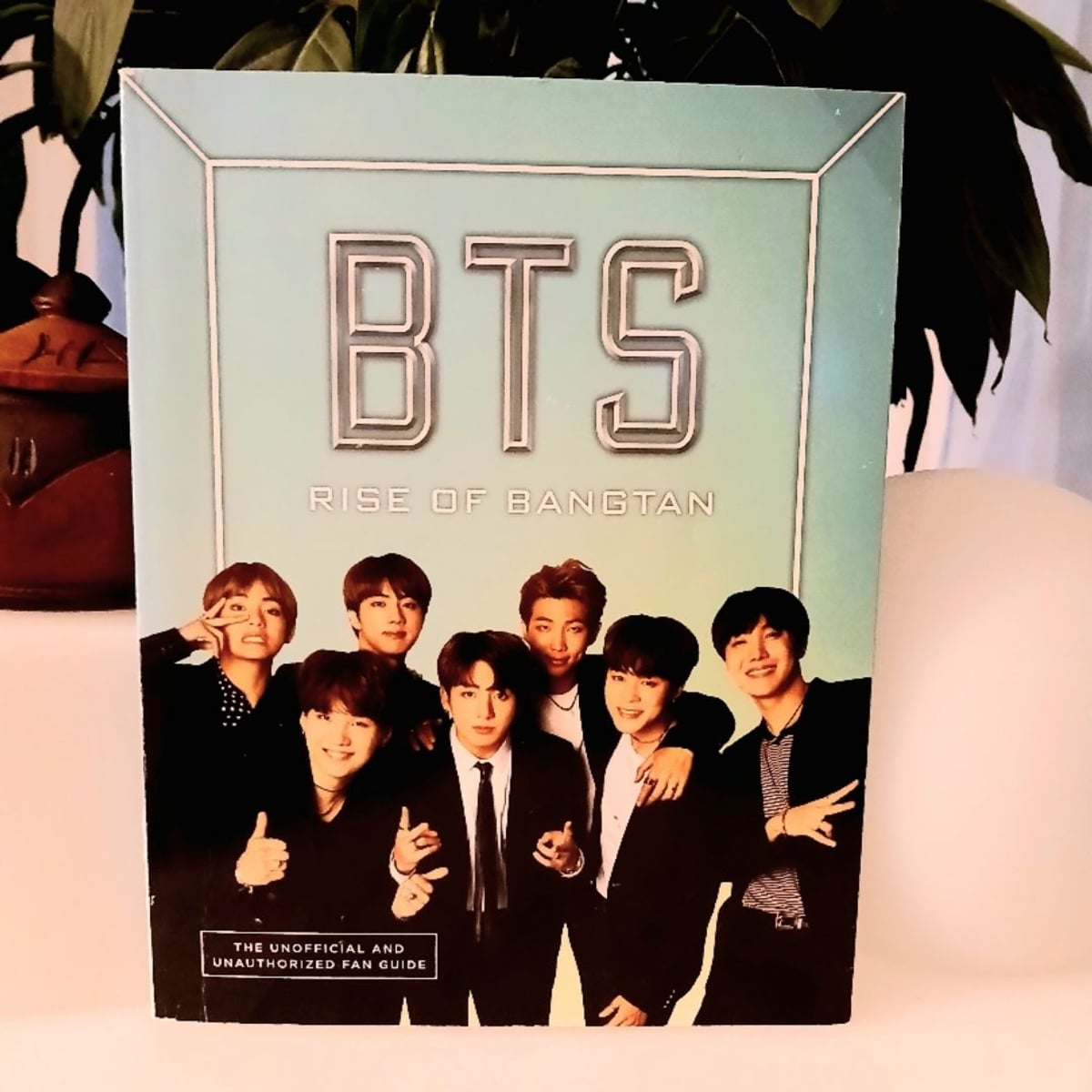 BTS: Rise of Bangtan by Cara J. Stevens
