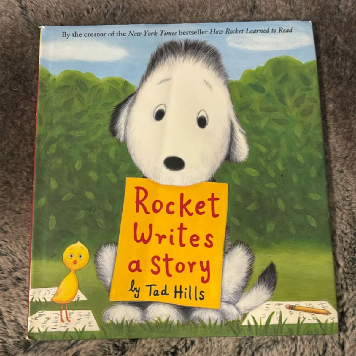 Rocket Writes a Story by Tad Hills