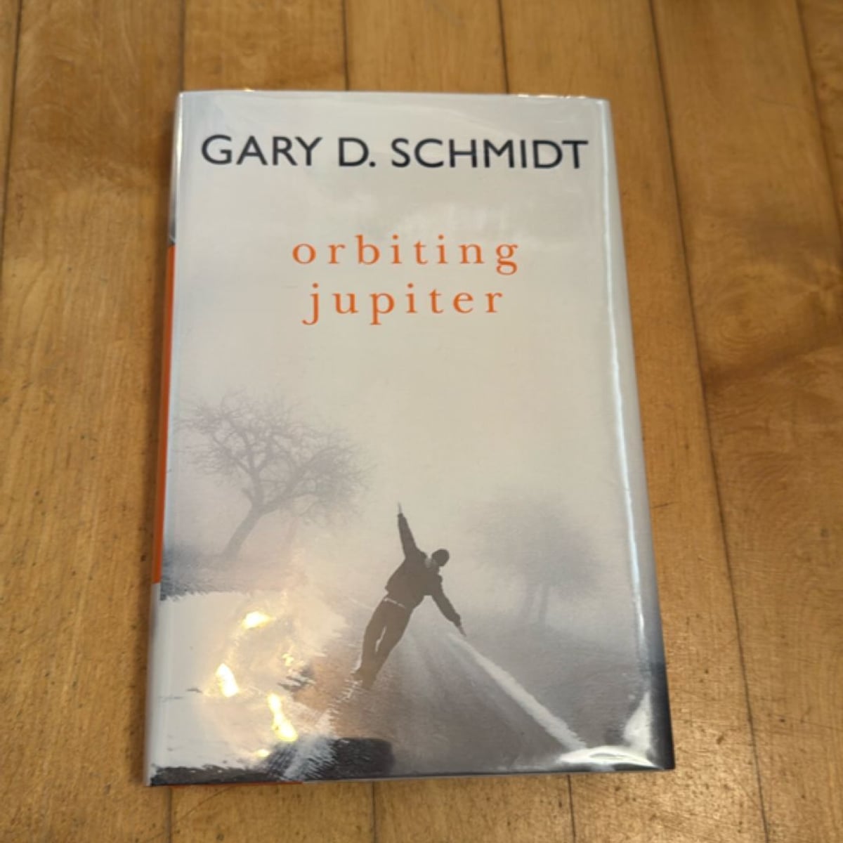 Orbiting Jupiter by Gary D. Schmidt