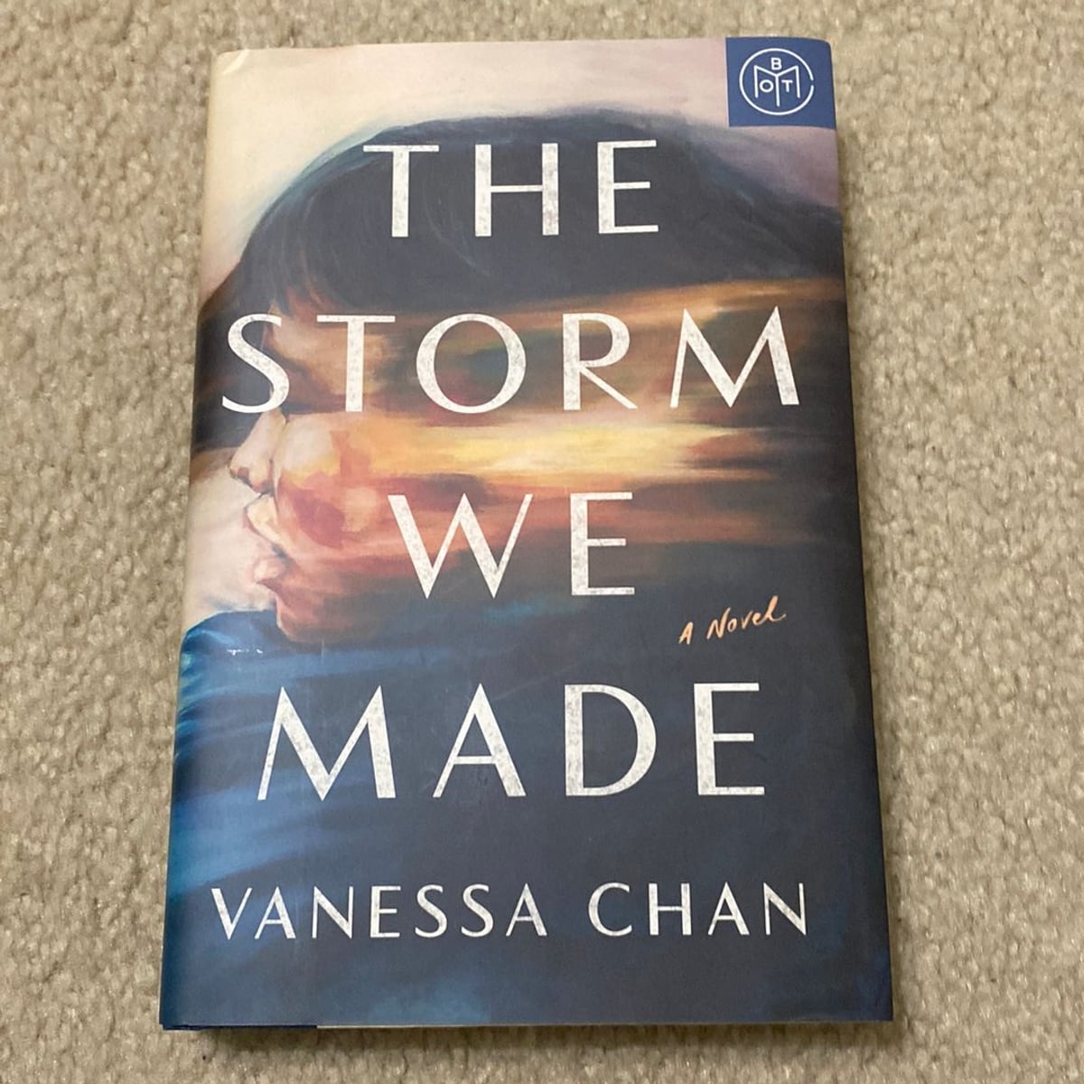 The Storm We Made by Vanessa Chan