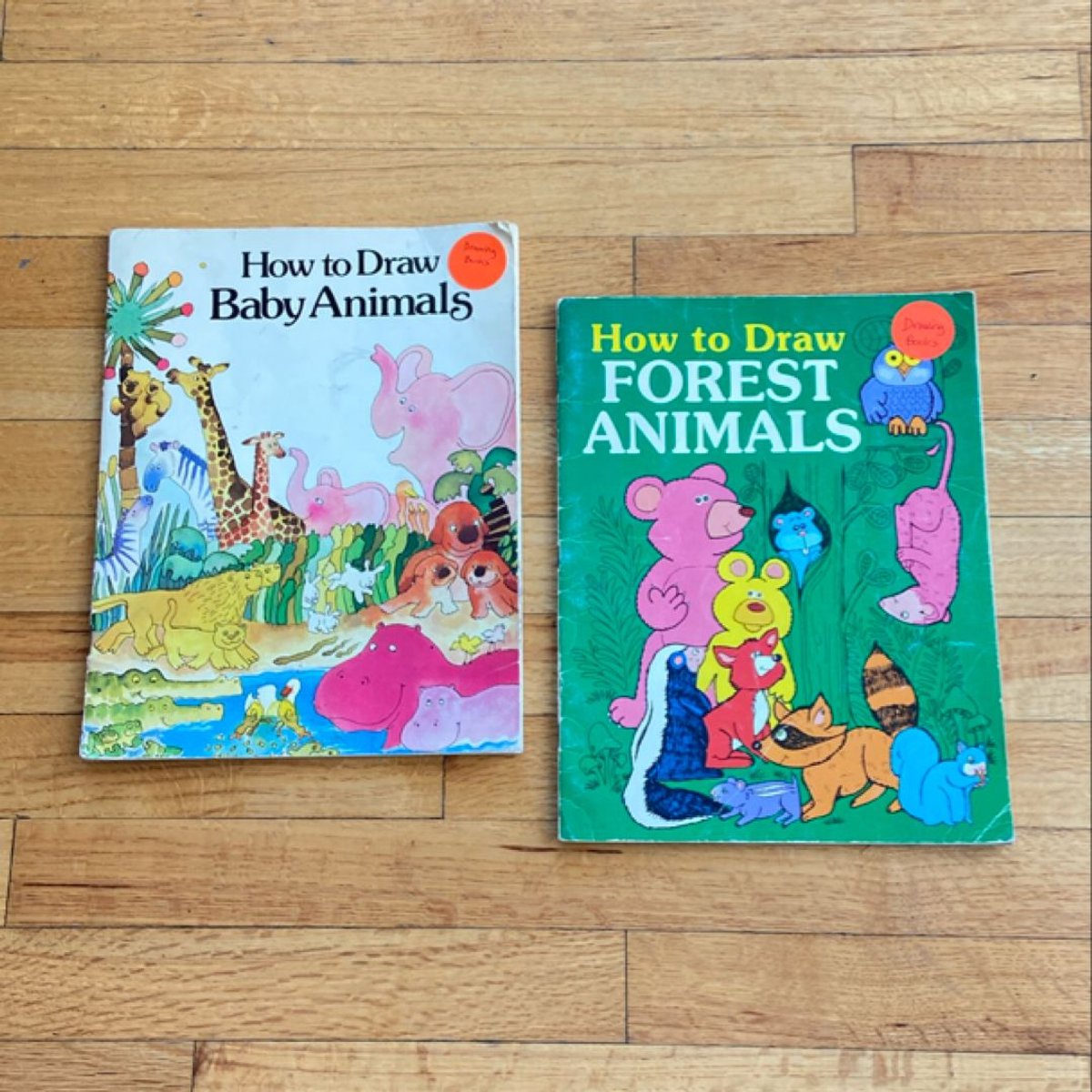 How to Draw Forest Animals by Barbara Soloff Levy