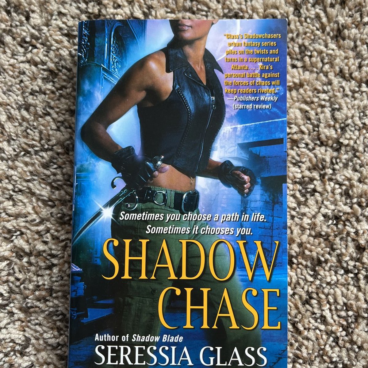 Shadow Chase by Seressia Glass