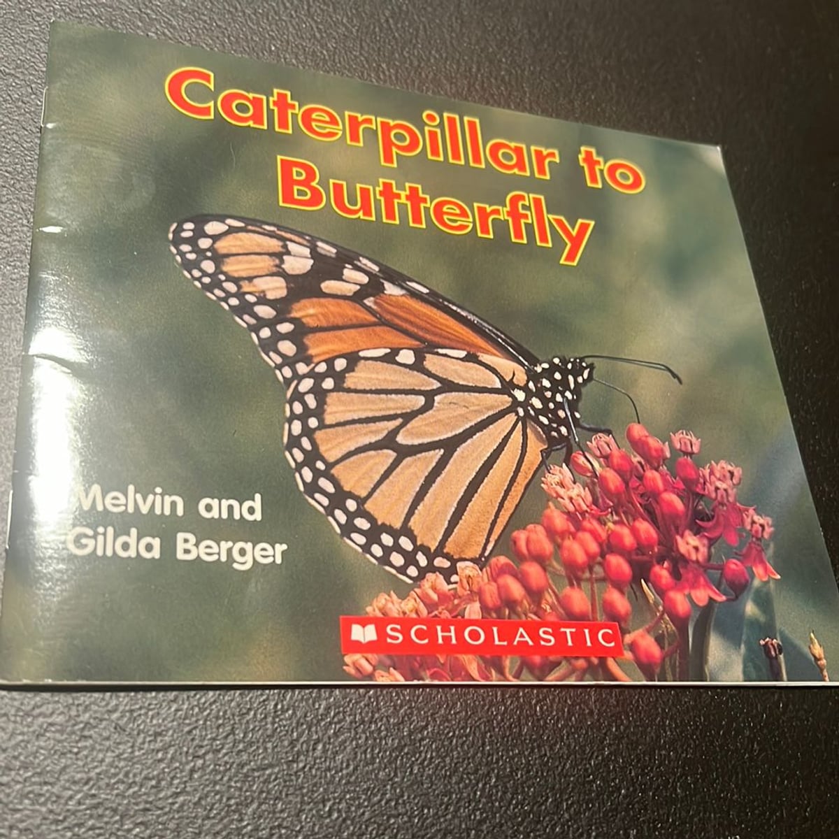 Caterpillar to Butterfly by Melvin Berger, Paperback | Pangobooks