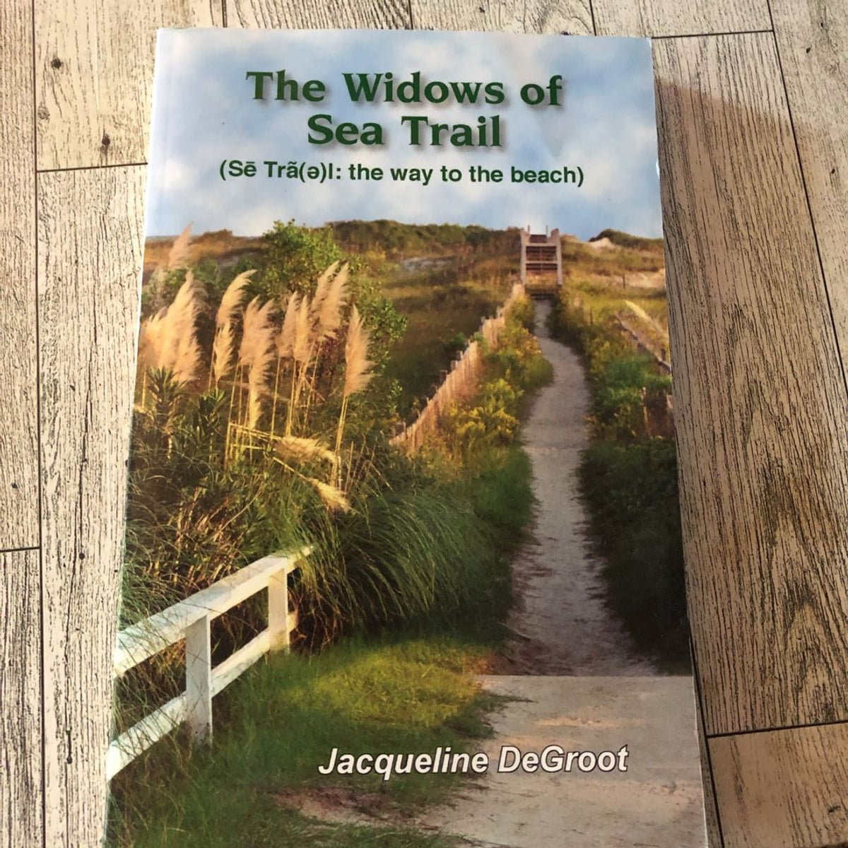 The Widows of Sea Trail by Jacqueline Degroot
