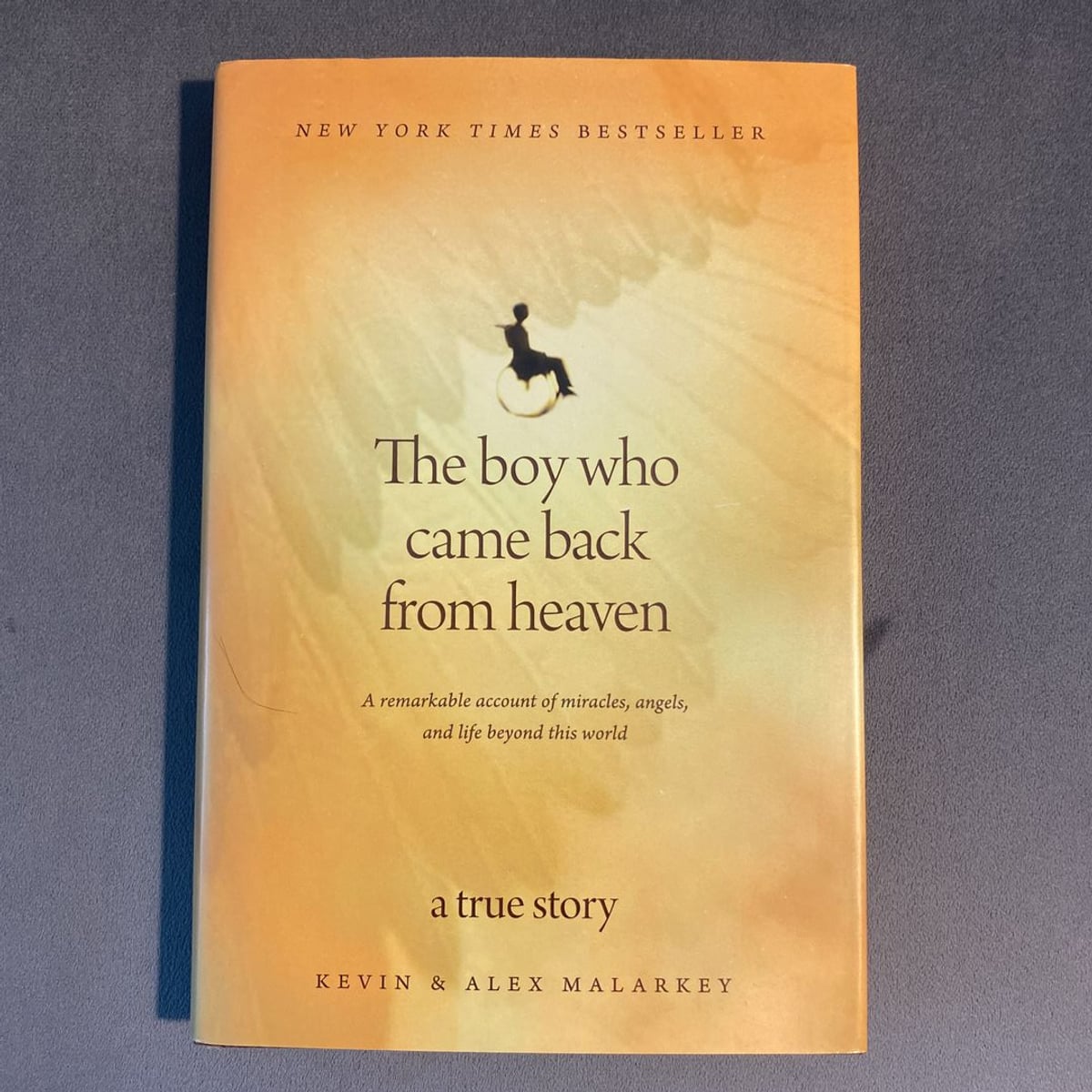 The Boy Who Came Back from Heaven