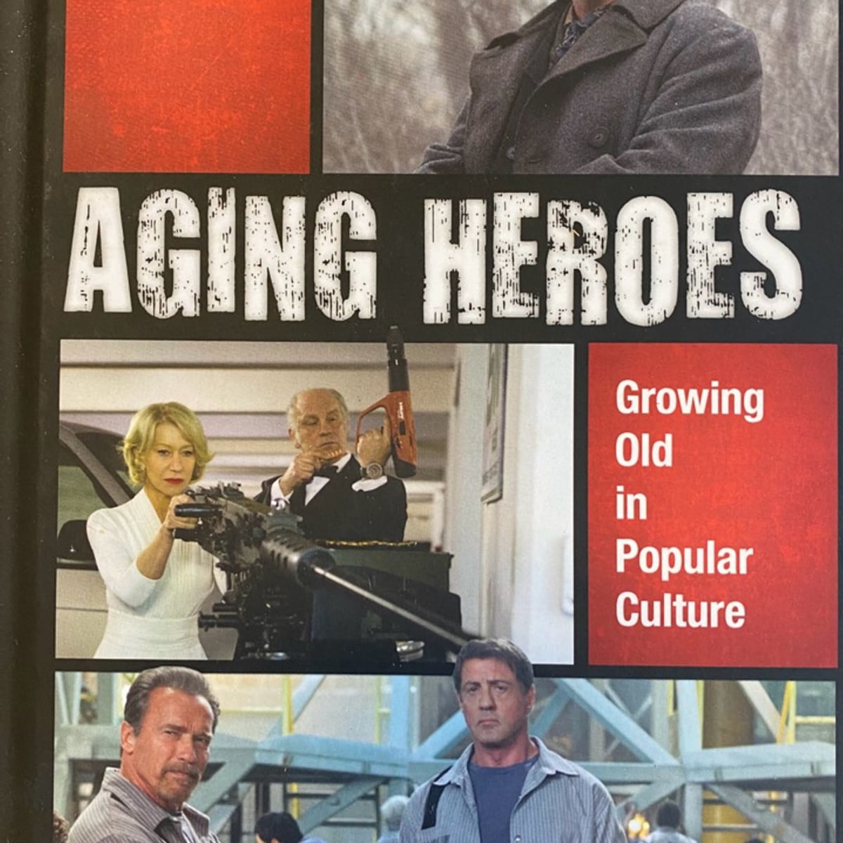 Aging Heroes by Jace Allen, Patrice M. Buzzanell, Guillaume de Syon ...