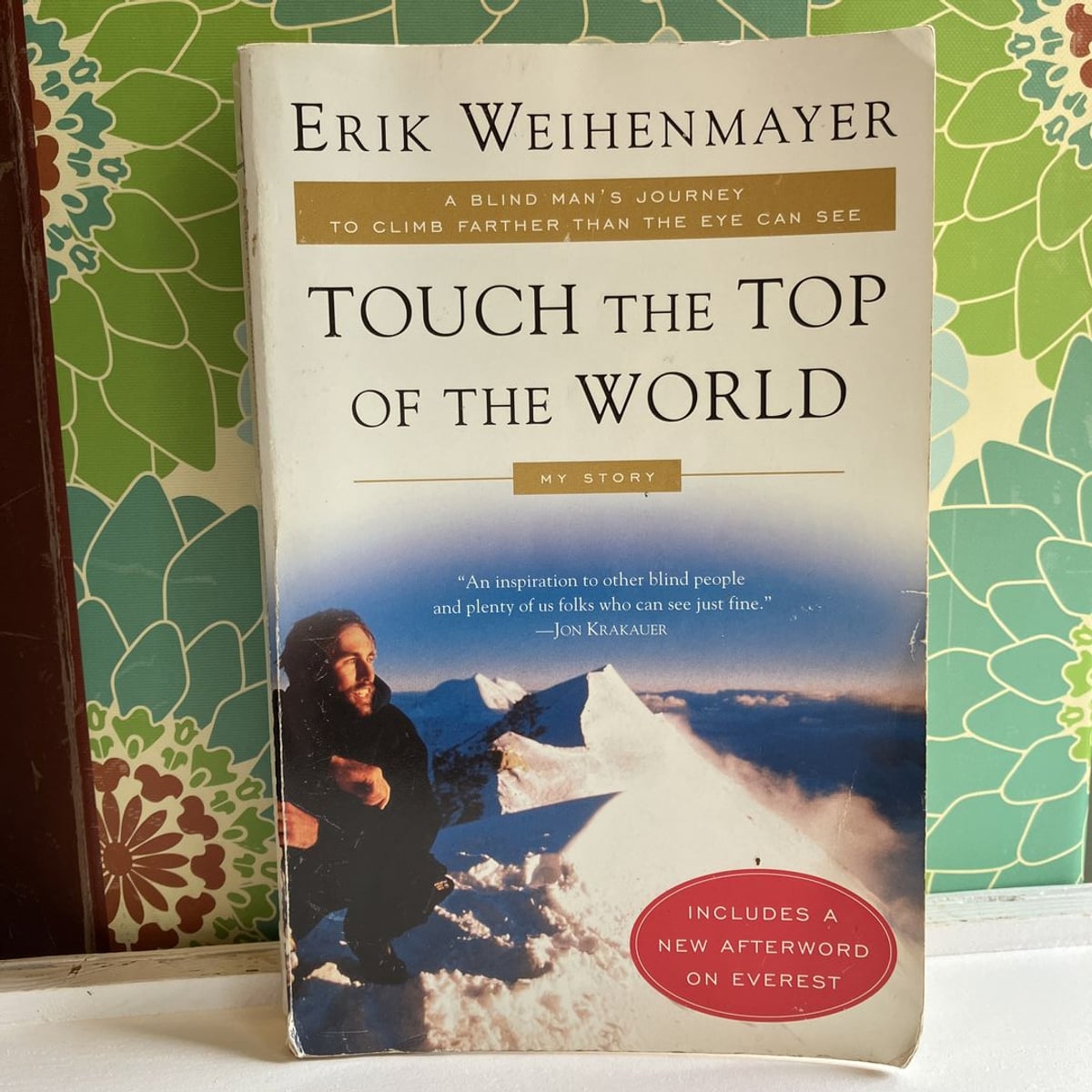 Touch the Top of the World by Erik Weihenmayer