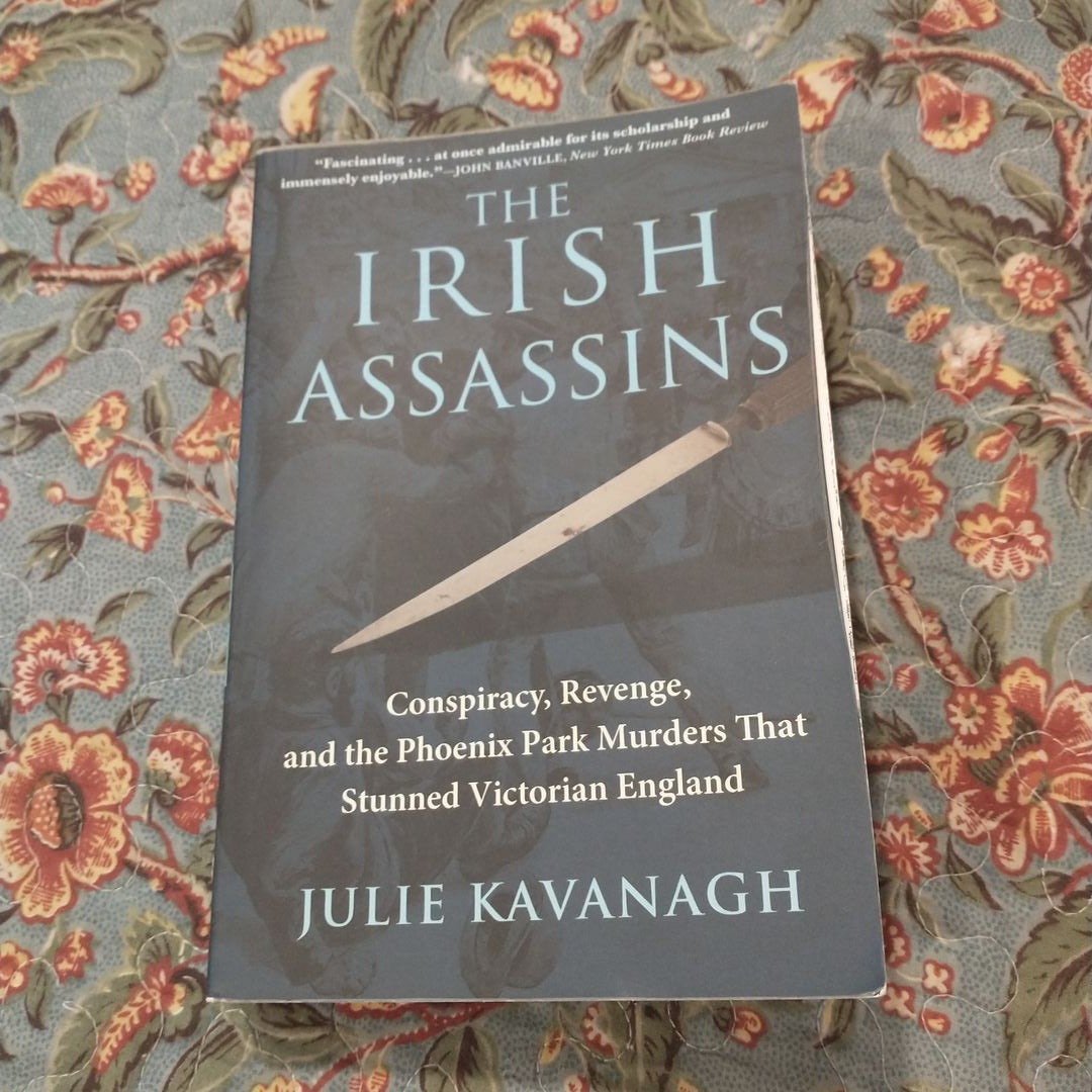 The Irish Assassins by Julie Kavanagh