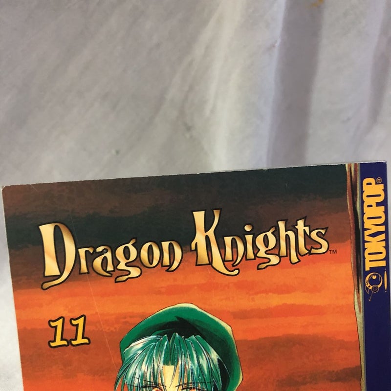 Dragon Knights by Mineko Ohkami, Paperback | Pangobooks