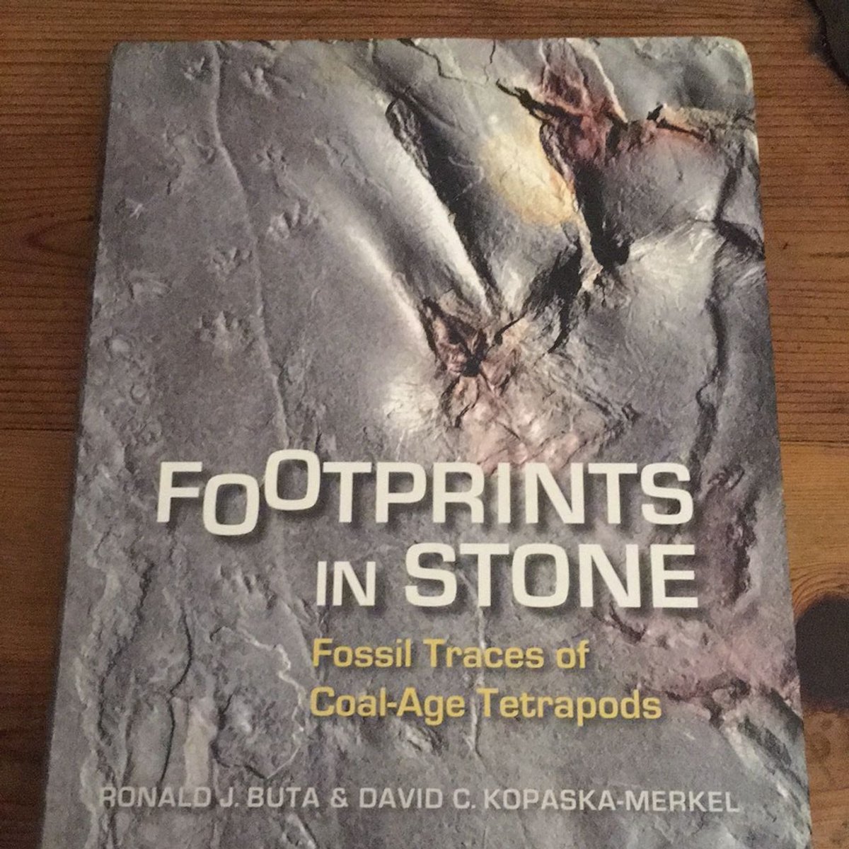 Footprints in Stone by Dana J. Ehret, Ronald J. Buta, David C. Kopaska ...