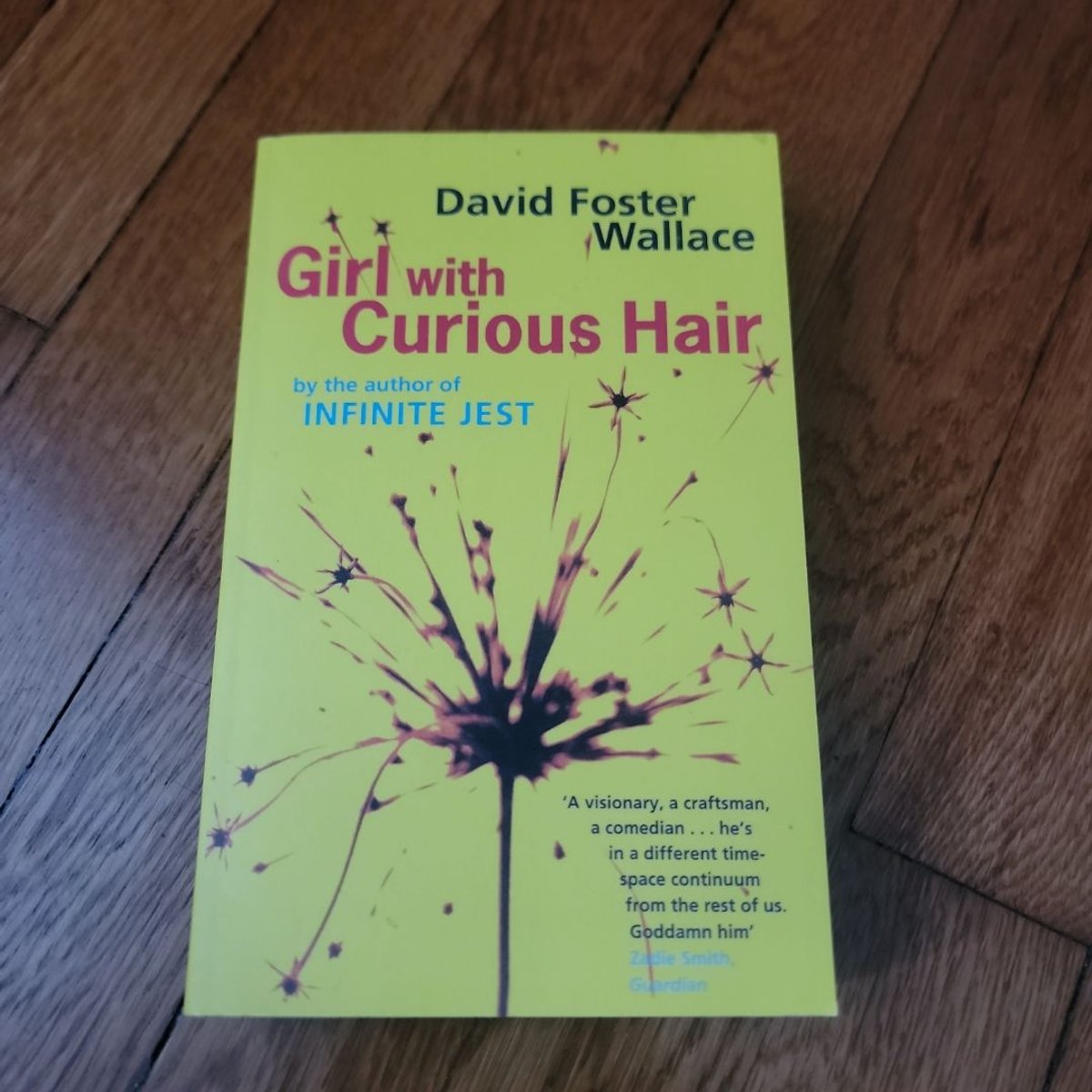 Girl with Curious Hair by David Foster Wallace