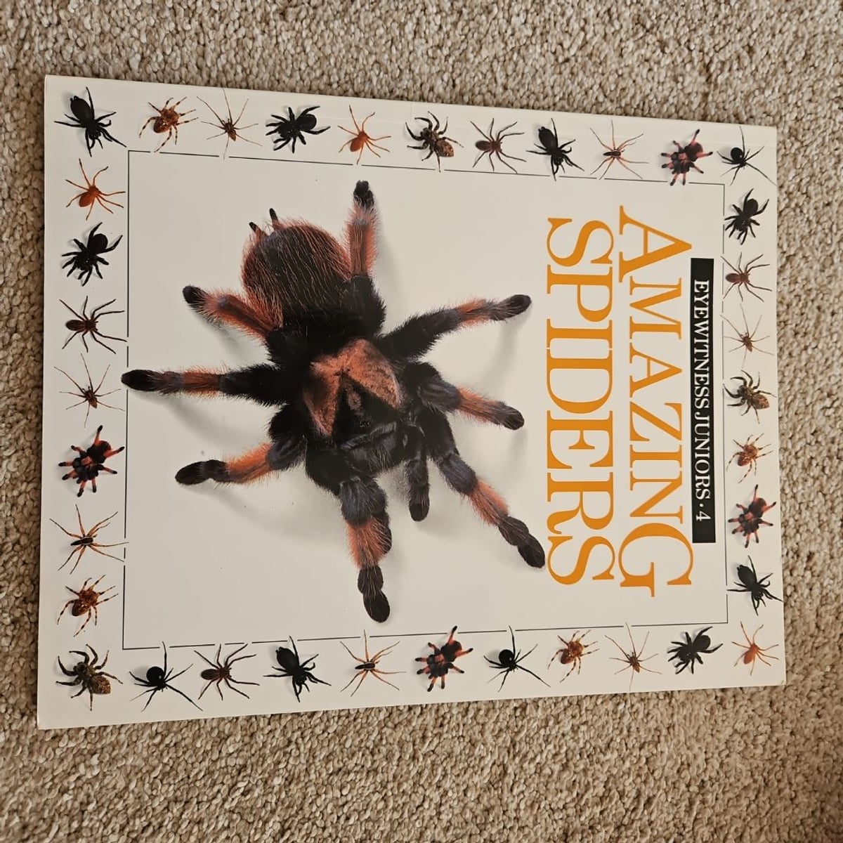 Amazing Spiders by Alexandra Parsons, Jerry Young