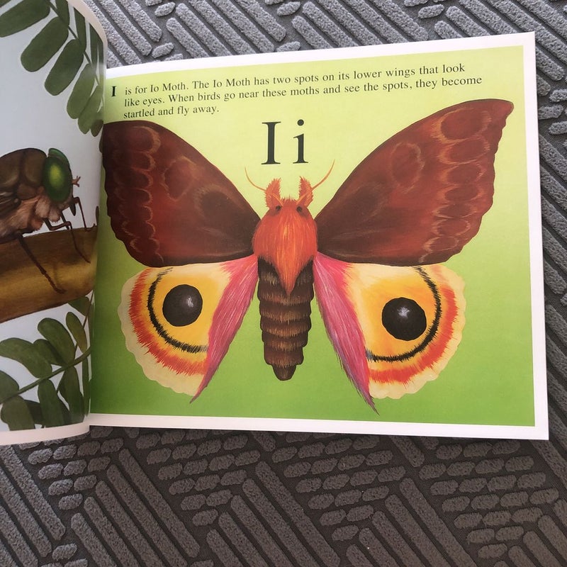 The Icky Bug Alphabet Book by Jerry Pallotta