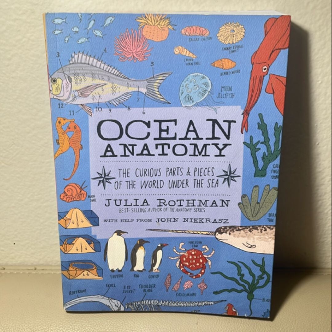 Ocean Anatomy by Julia Rothman, John Niekrasz