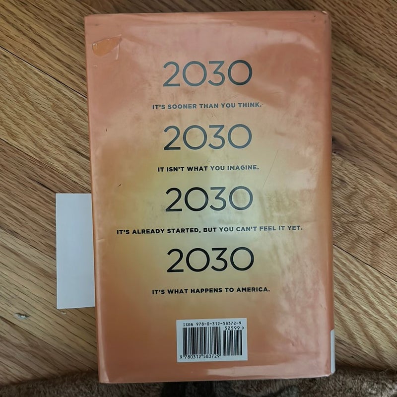 Twenty Thirty by Albert Brooks, Hardcover | Pangobooks