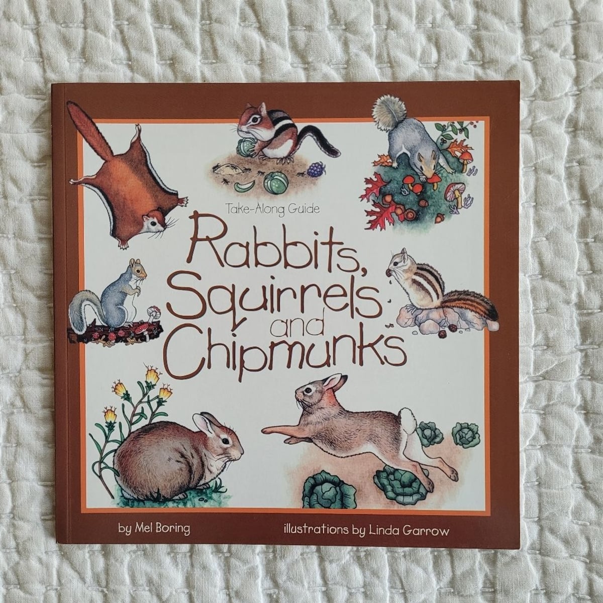 Rabbits, Squirrels and Chipmunks by Mel Boring