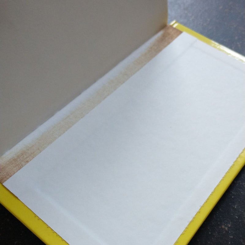 The Contender by Robert Lipsyte