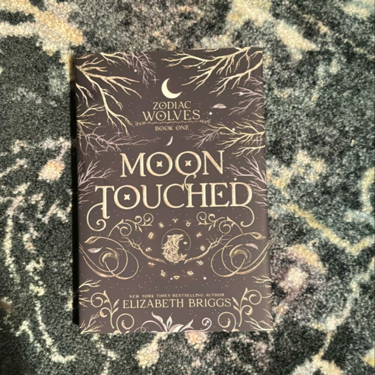 Moon Touched by Elizabeth Briggs
