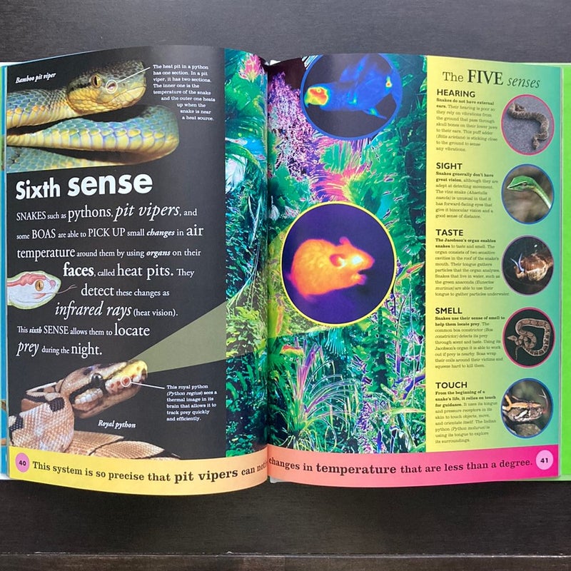 Everything You Need to Know about Frogs and Other Slippery Creatures by DK