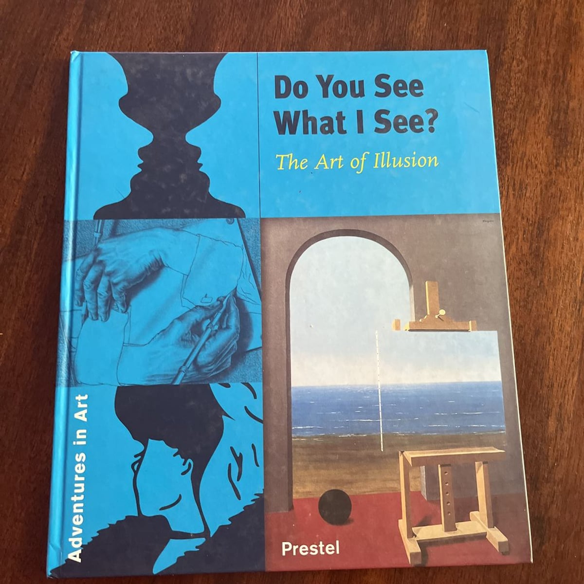 Do You See What I See?