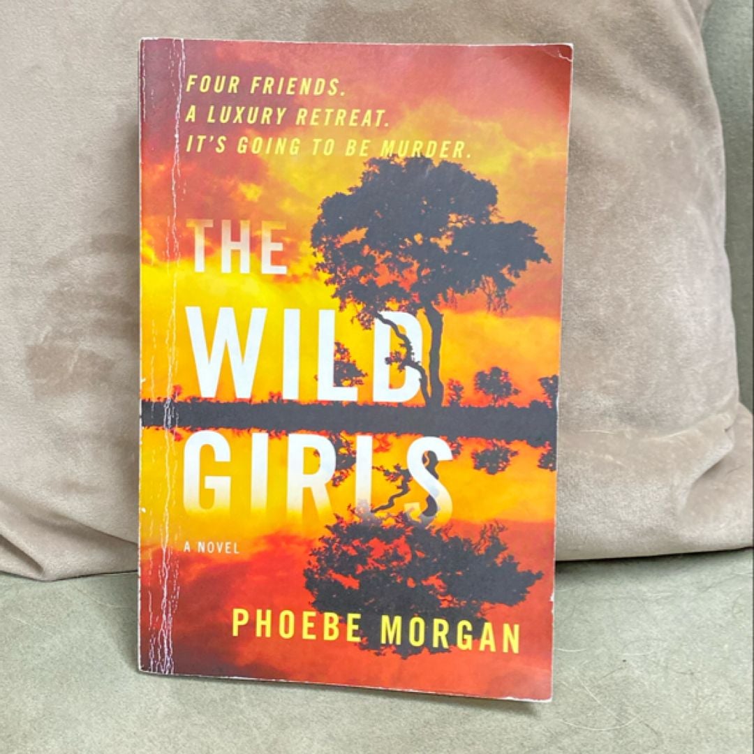 The Wild Girls by Phoebe Morgan