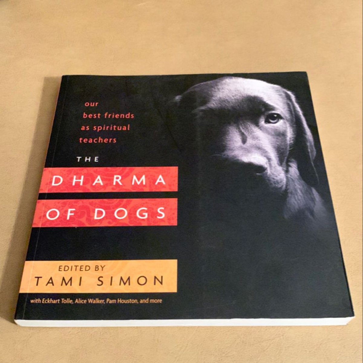 The Dharma of Dogs by Tami Simon