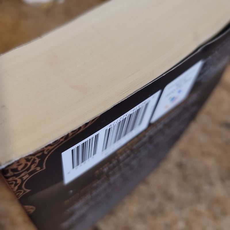 The Phoenix King by Aparna Verma