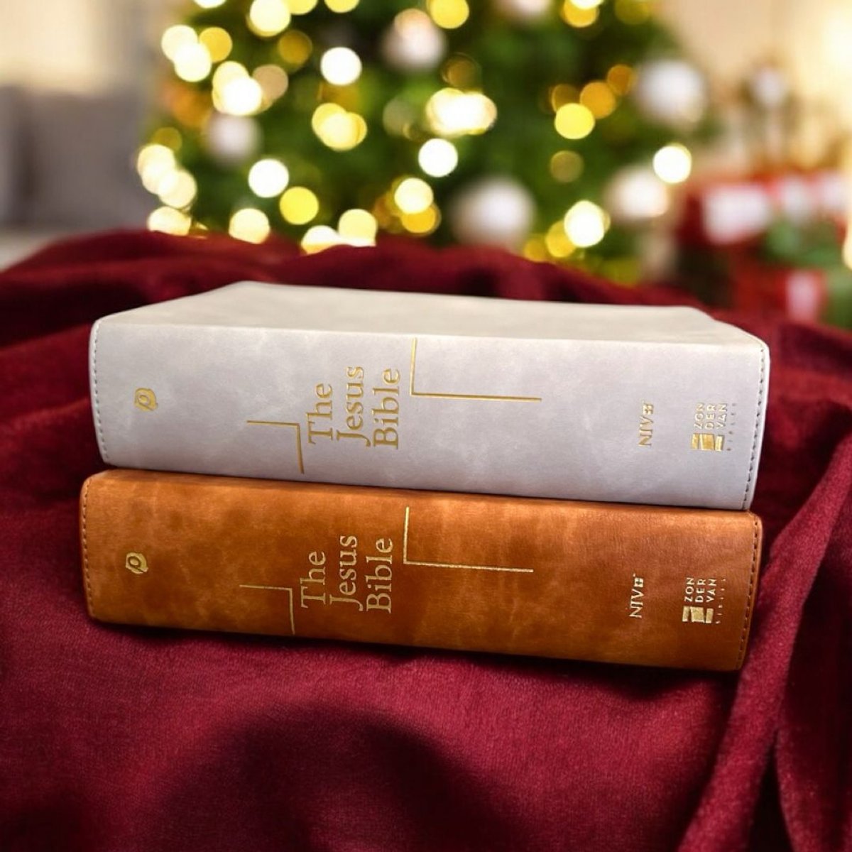 The Jesus Bible, NIV Edition, Leathersoft, Stone, Comfort Print by ...