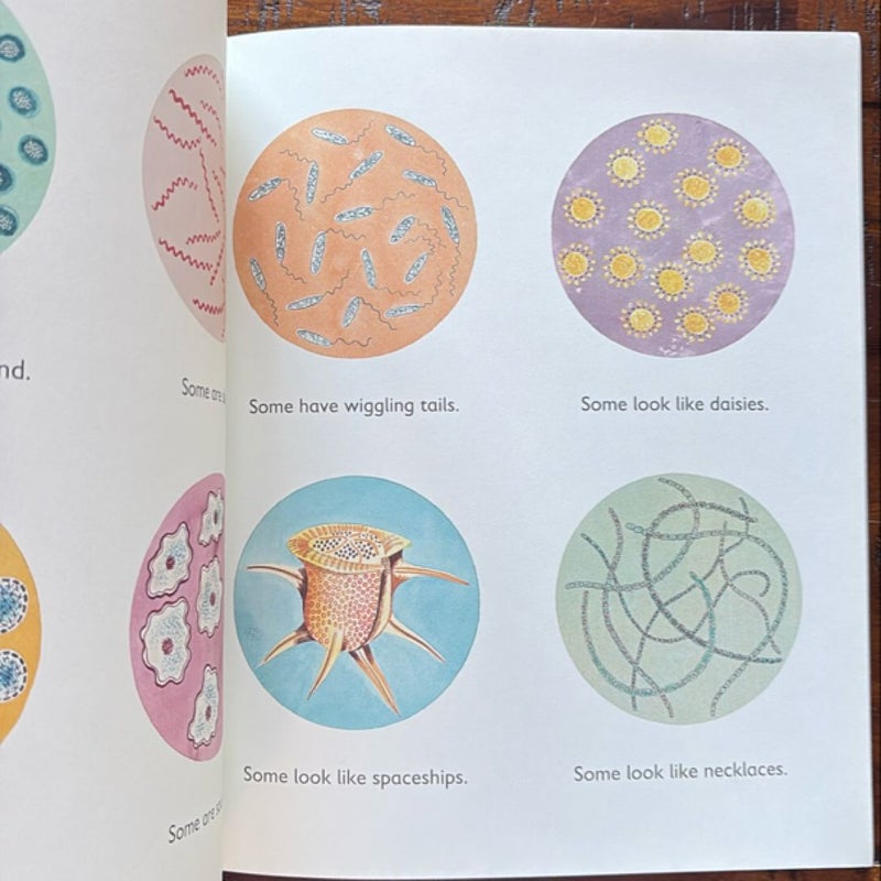 Tiny Creatures: the World of Microbes by Nicola Davies