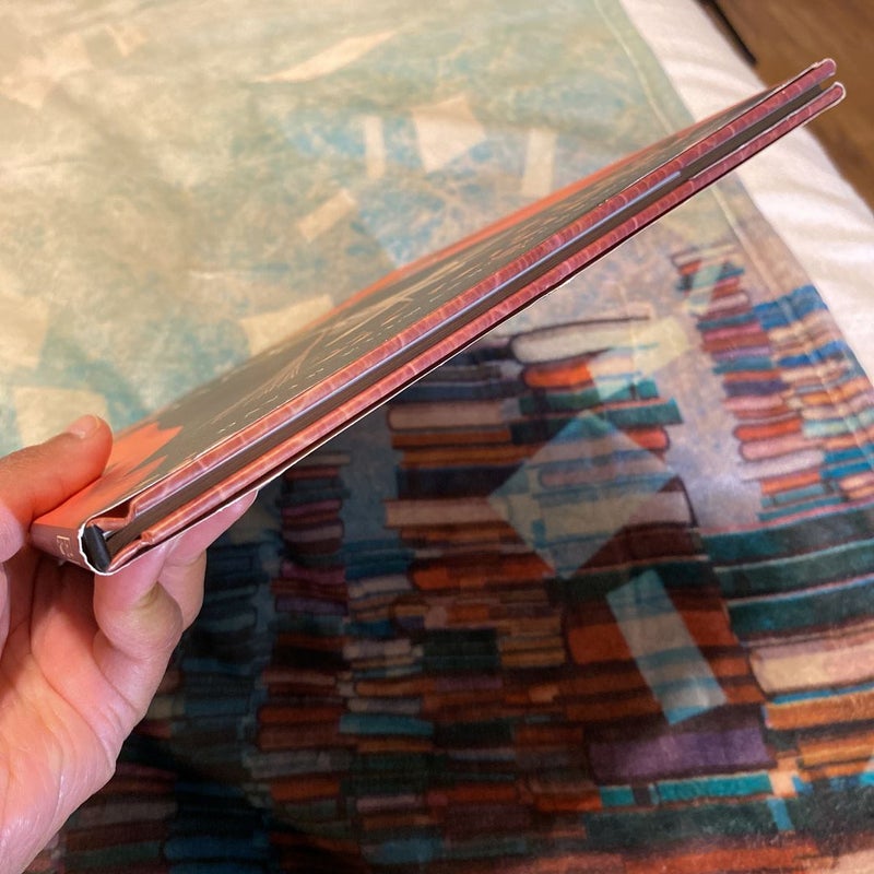 Cinderlily by David Ellwand; Christine Tagg, Hardcover | Pangobooks