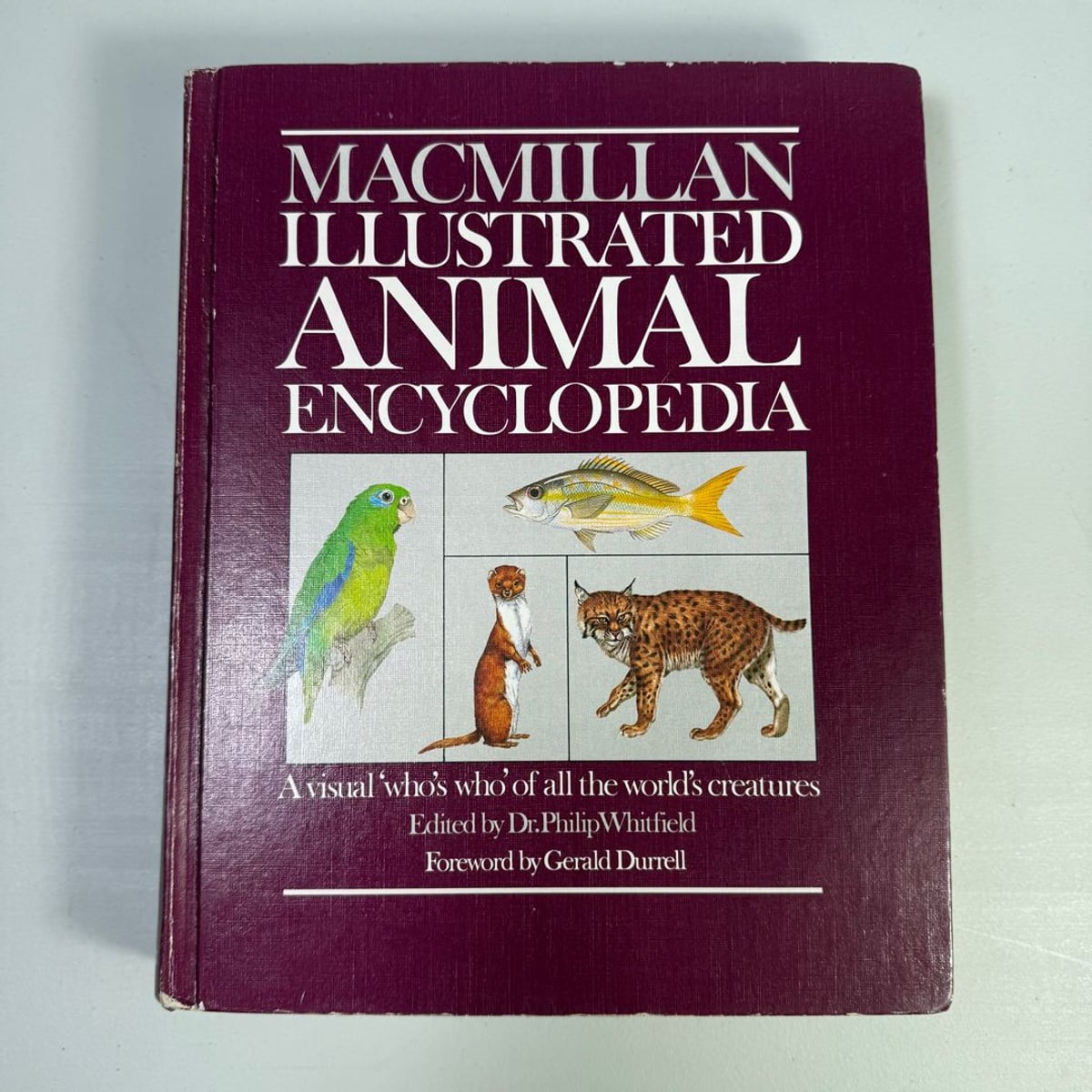 Macmillan Illustrated Animal Encyclopedia by Macmillan Publishing ...