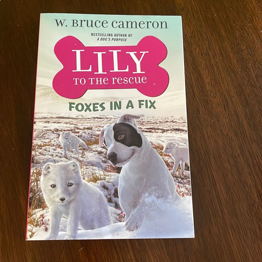 Lily to the Rescue by W. Bruce Cameron