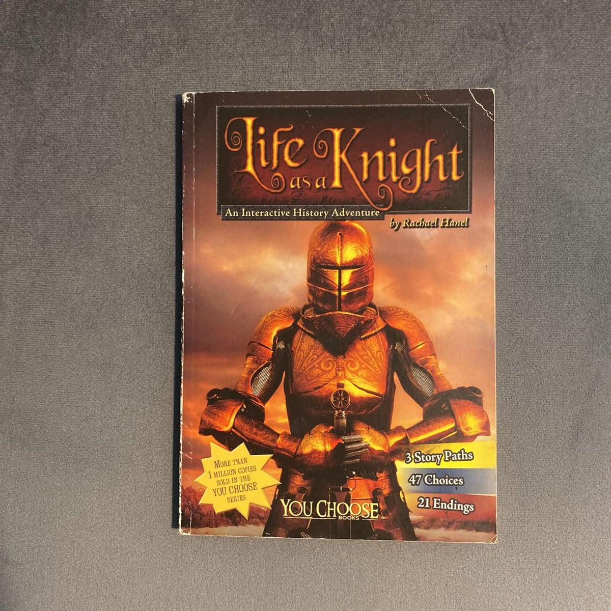 Life as a Knight by Rachael Hanel