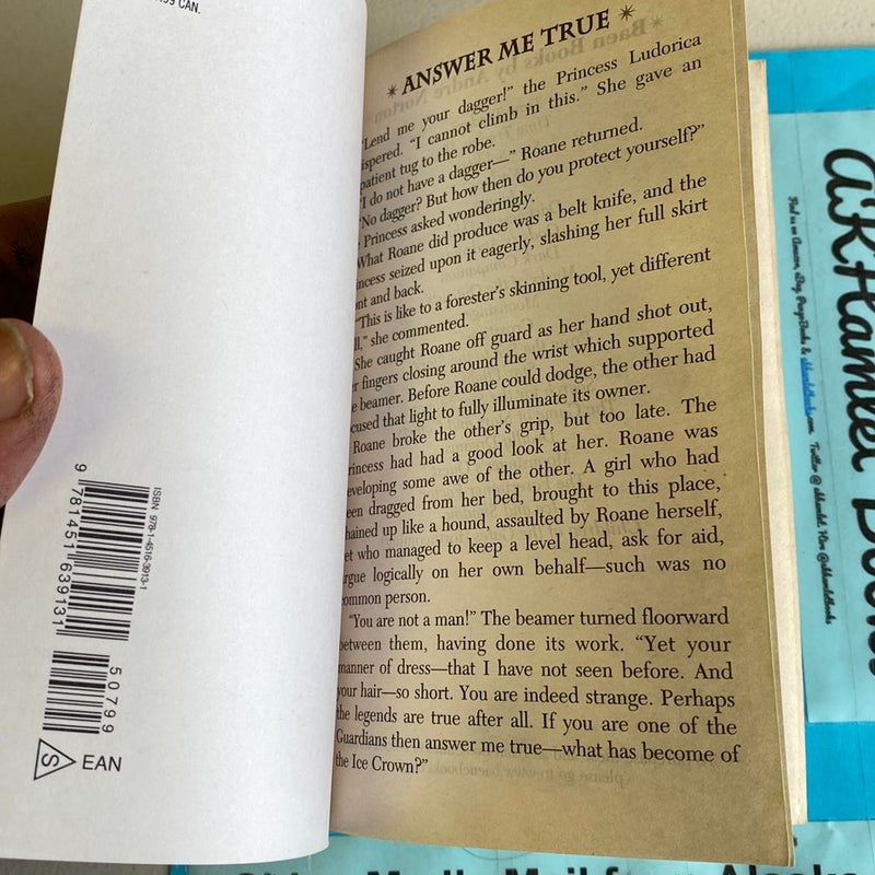 Ice and Shadow by Andre Norton