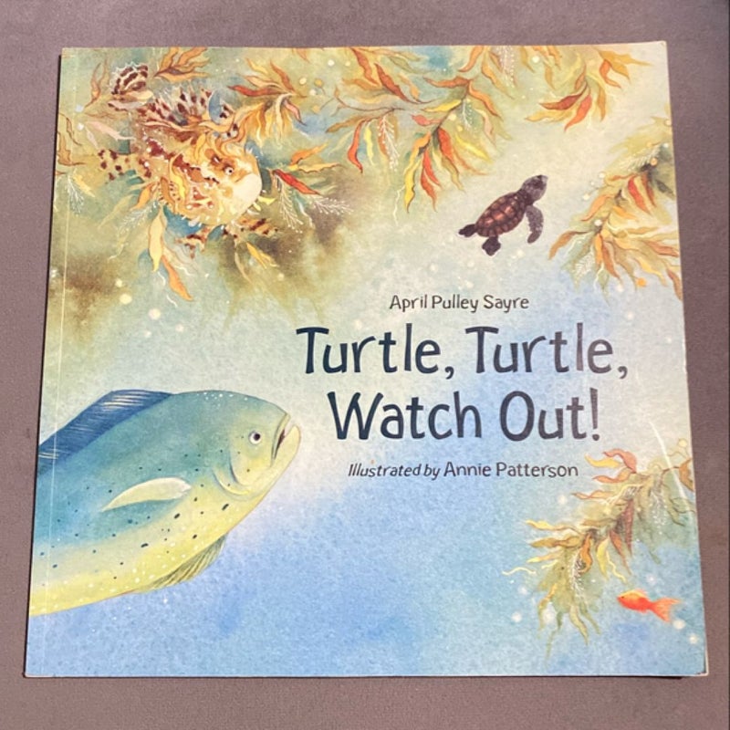 Turtle, Turtle, Watch Out! by April Pulley Sayre