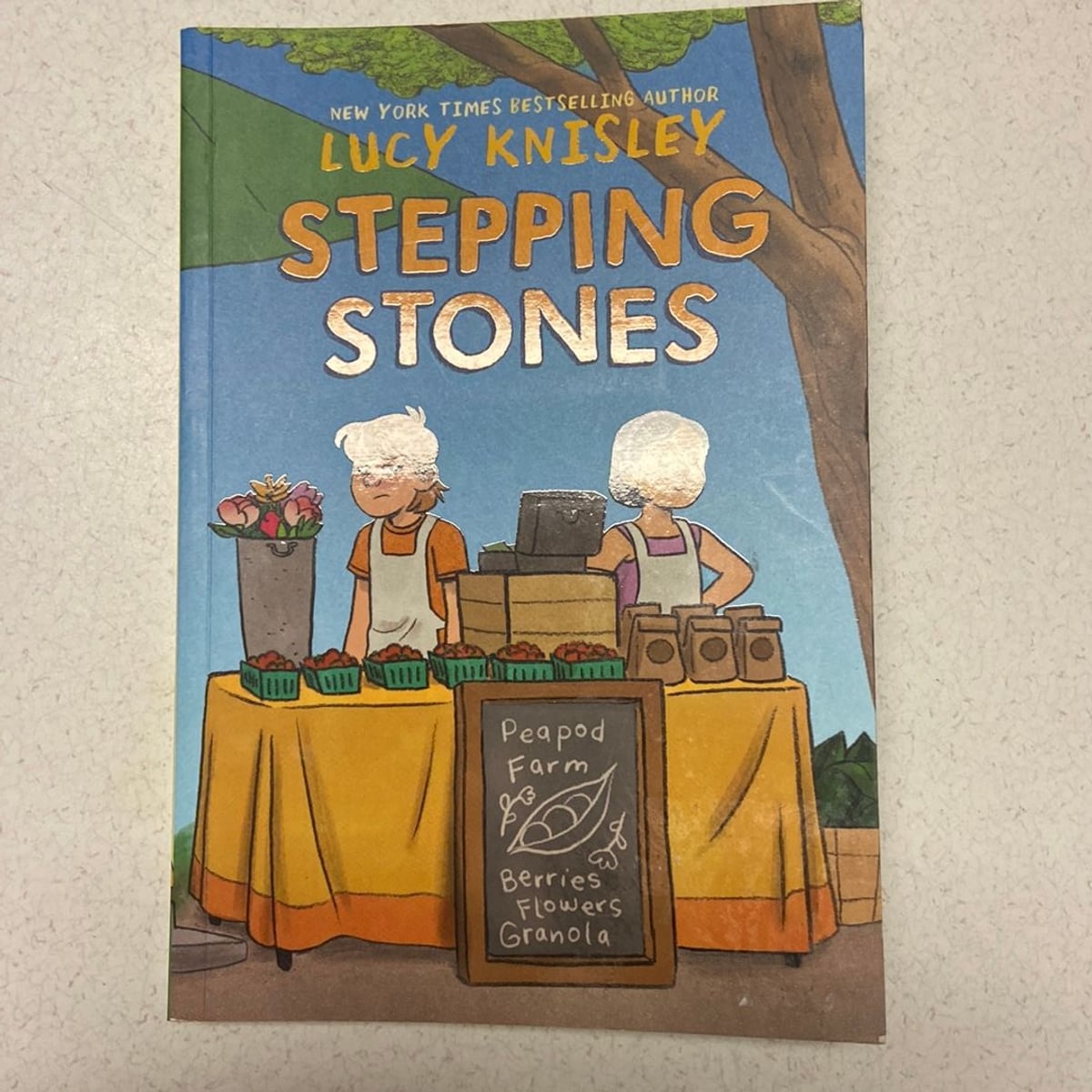 Stepping Stones by Lucy Knisley