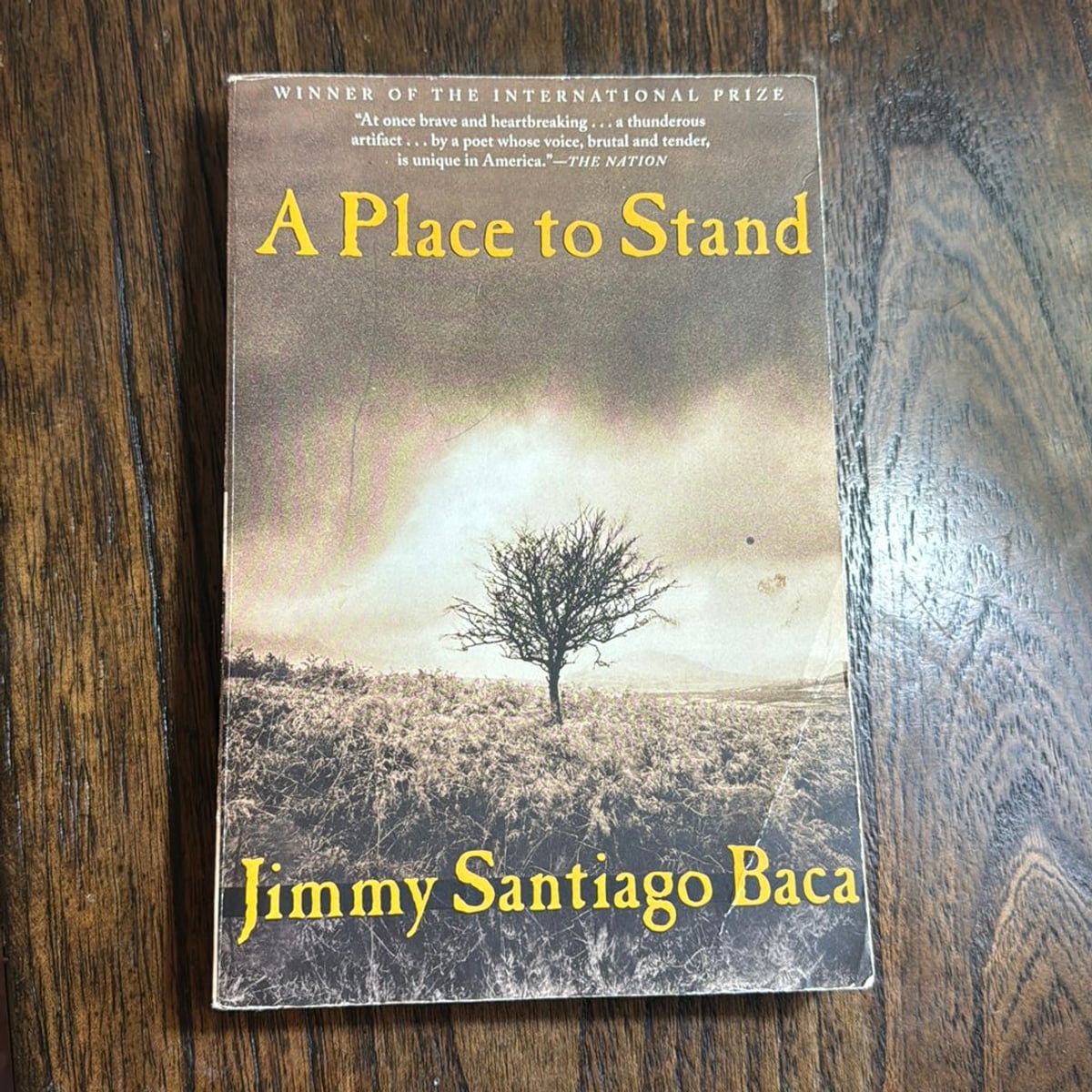 A Place to Stand by Jimmy Santiago Baca