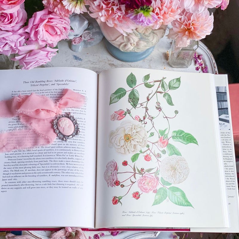 Complete Flower Paintings and Drawings of Graham Stuart Thomas by Graham S. Thomas