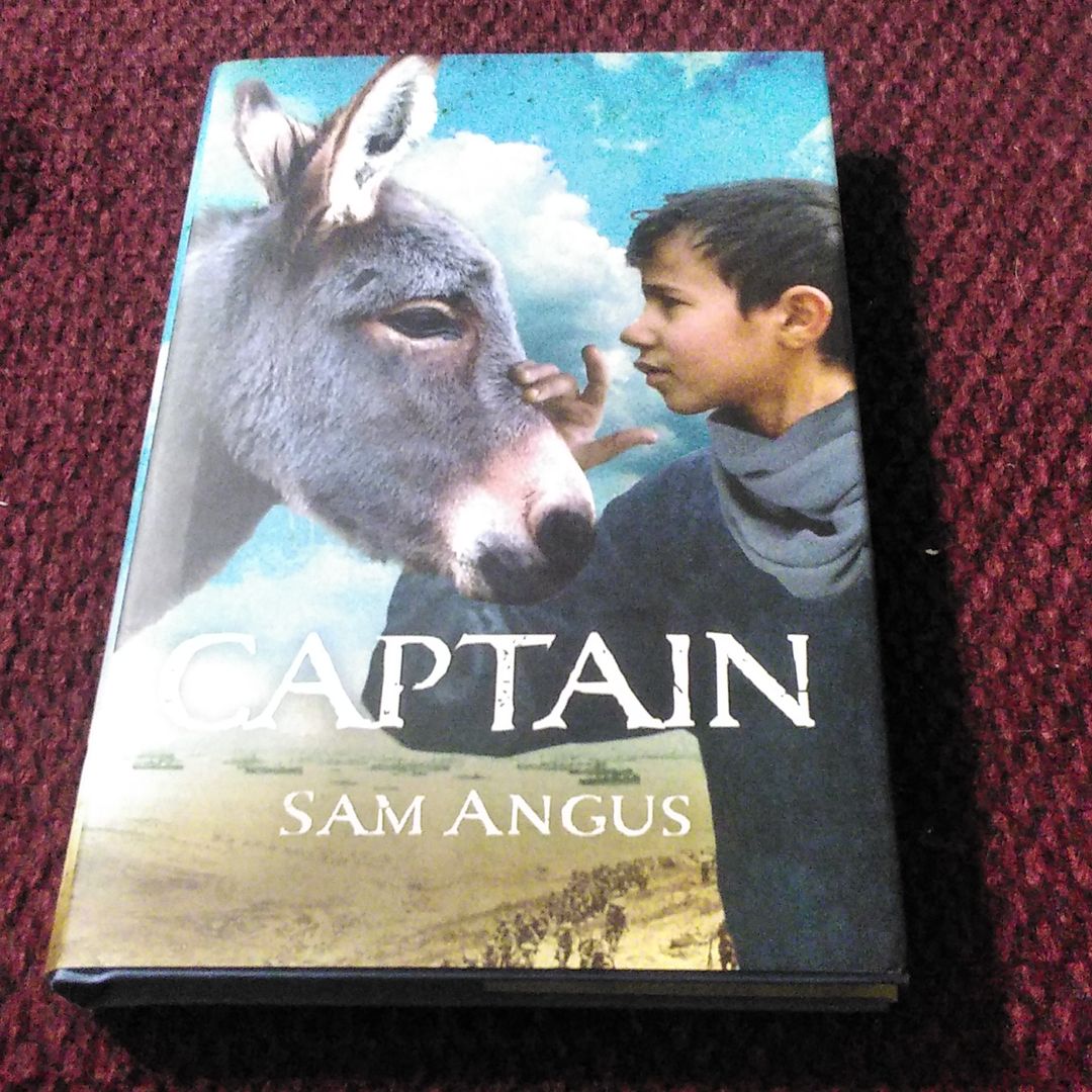 Captain by Sam Angus