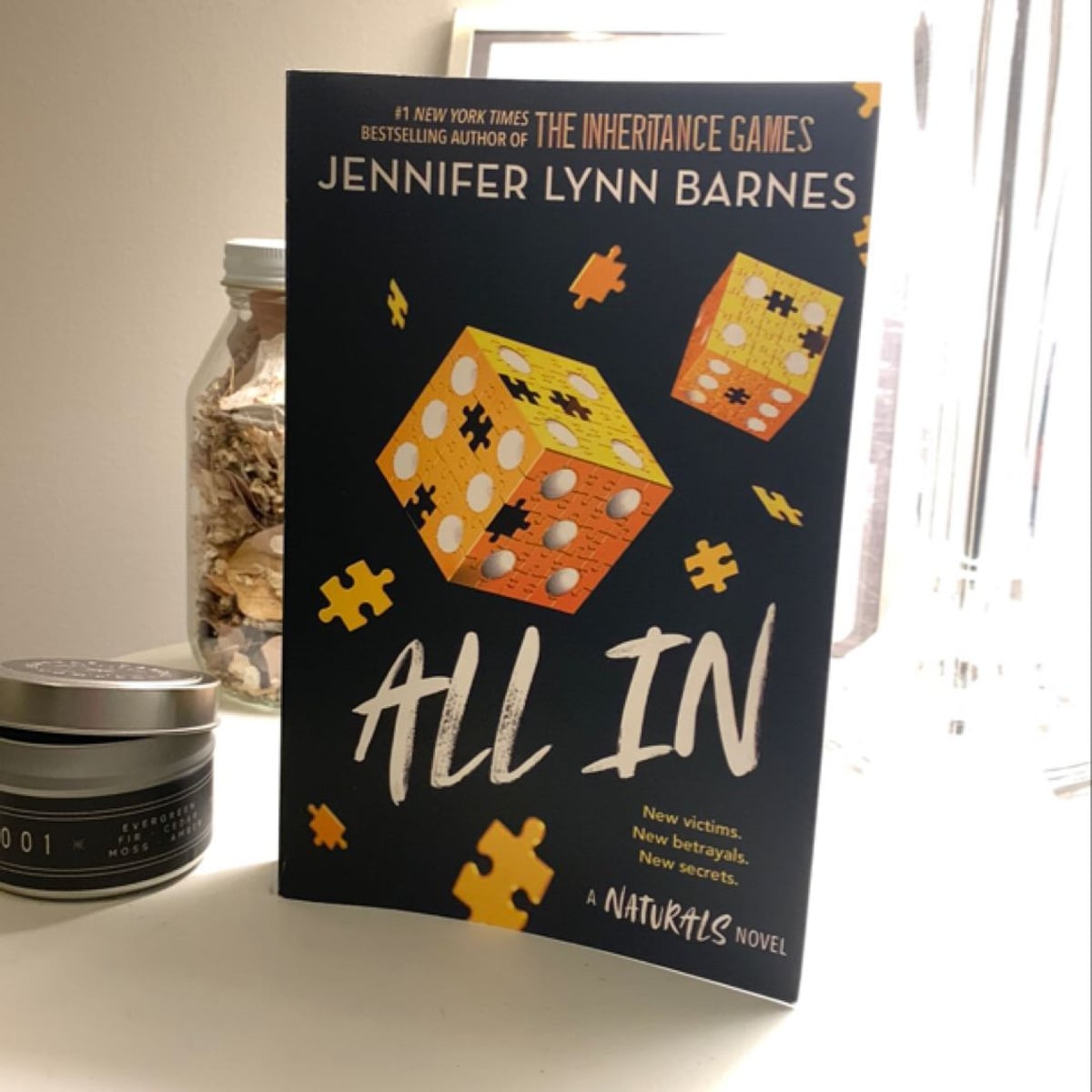 All In by Jennifer Lynn Barnes, Paperback | Pangobooks