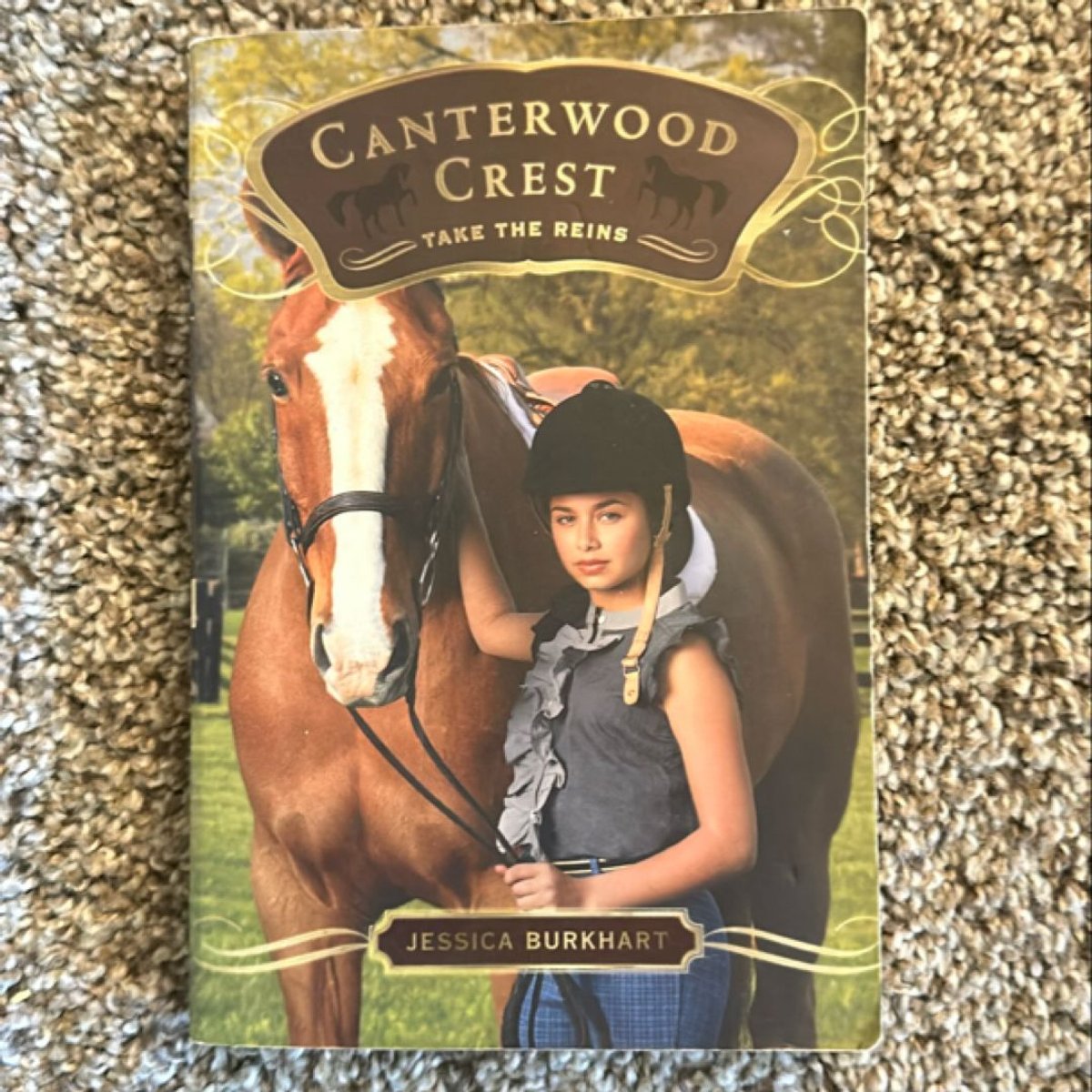 Take the Reins by Jessica Burkhart
