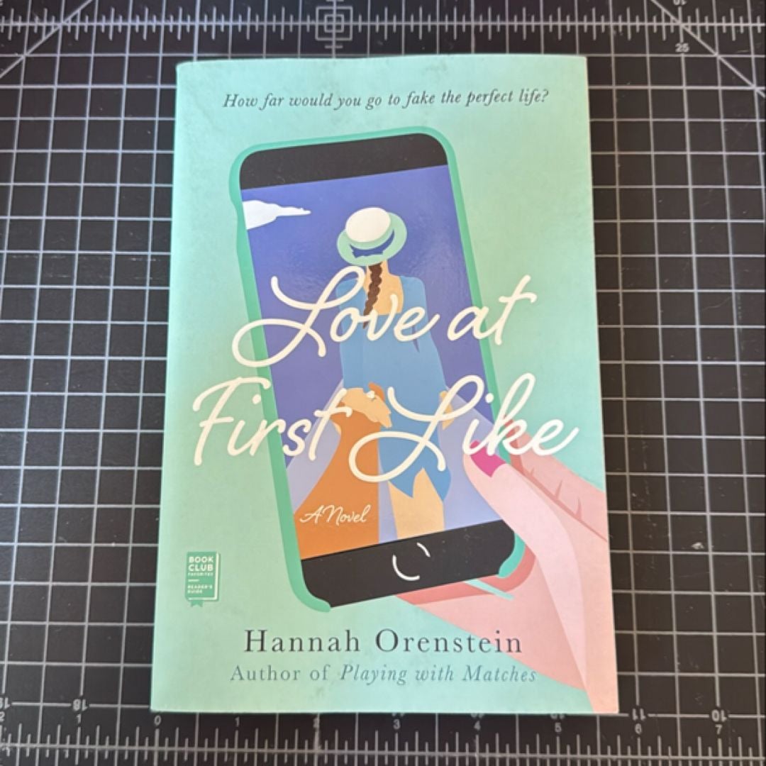 Love at First Like by Hannah Orenstein