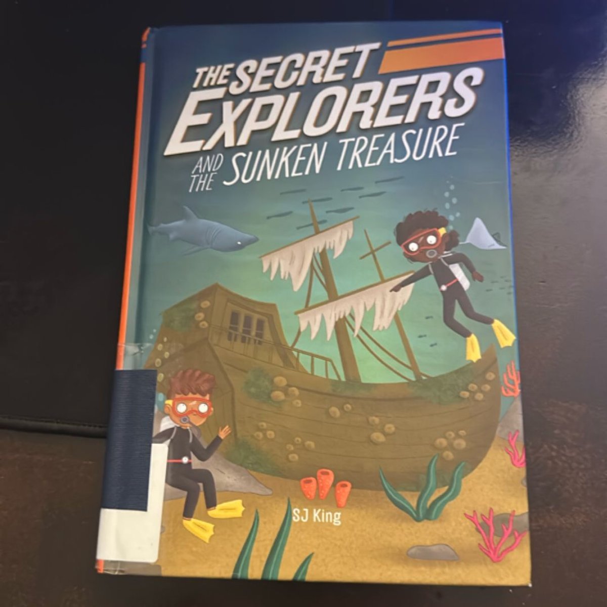 The Secret Explorers and the Sunken Treasure by S. J. King
