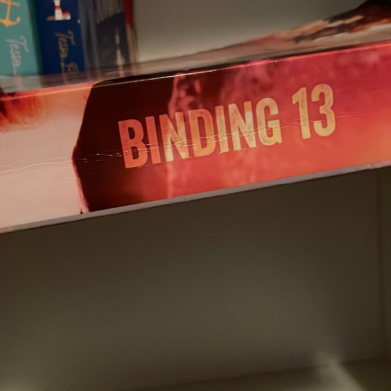 Binding 13 OOP INDIE EDITION by Chloe Walsh, Paperback | Pangobooks