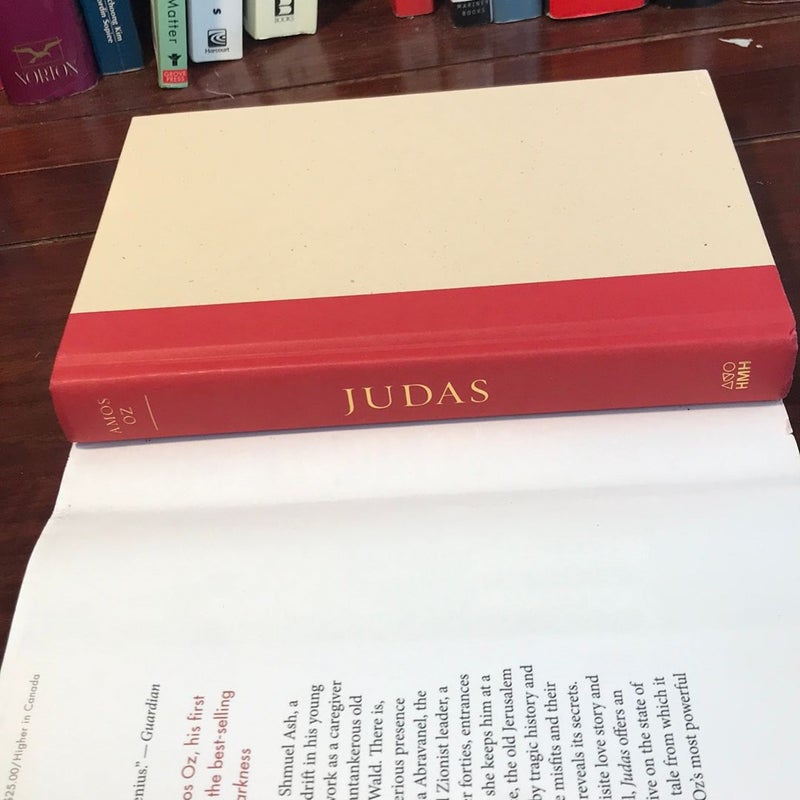 Judas by Amos Oz, Hardcover | Pangobooks