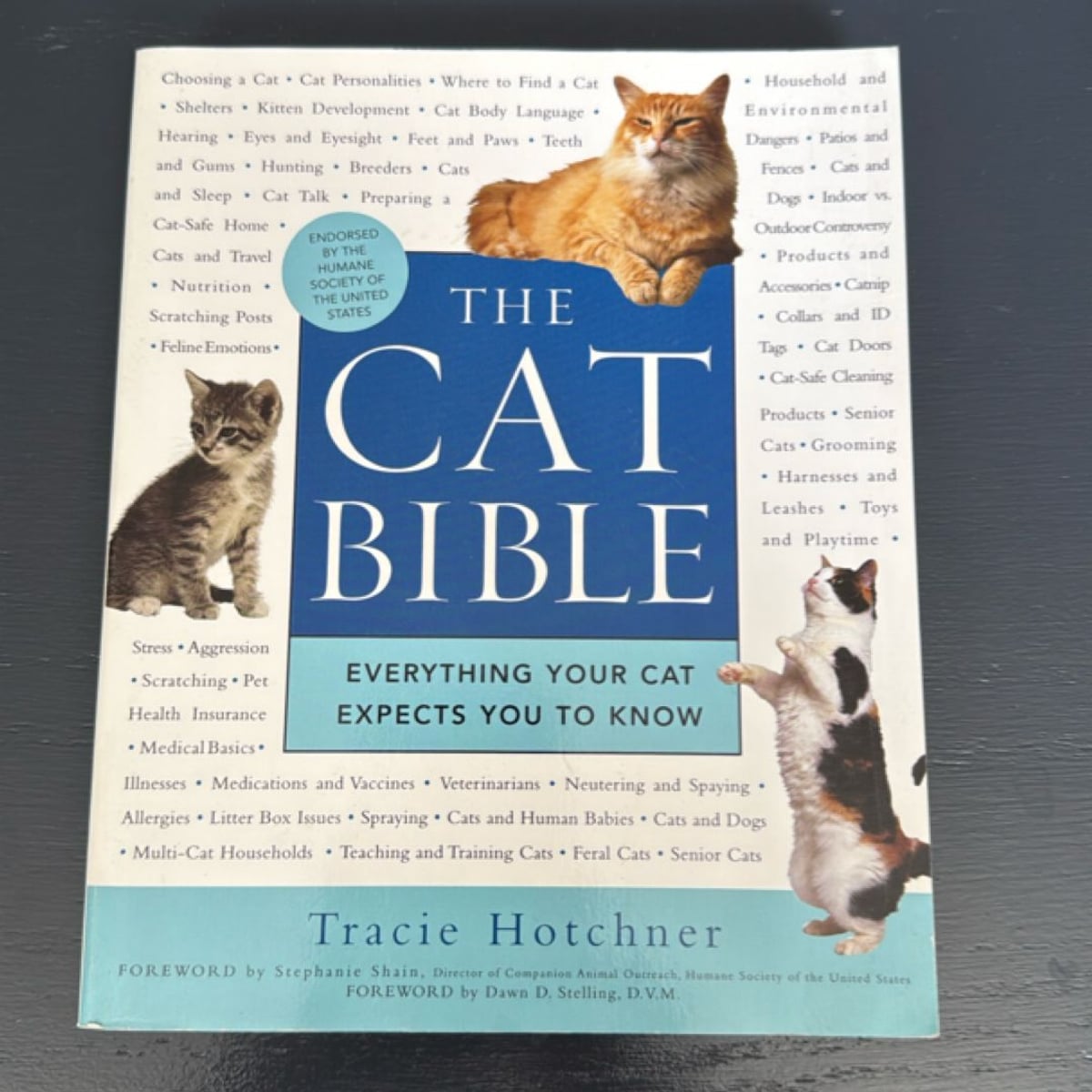 The Cat Bible by Tracie Hotchner