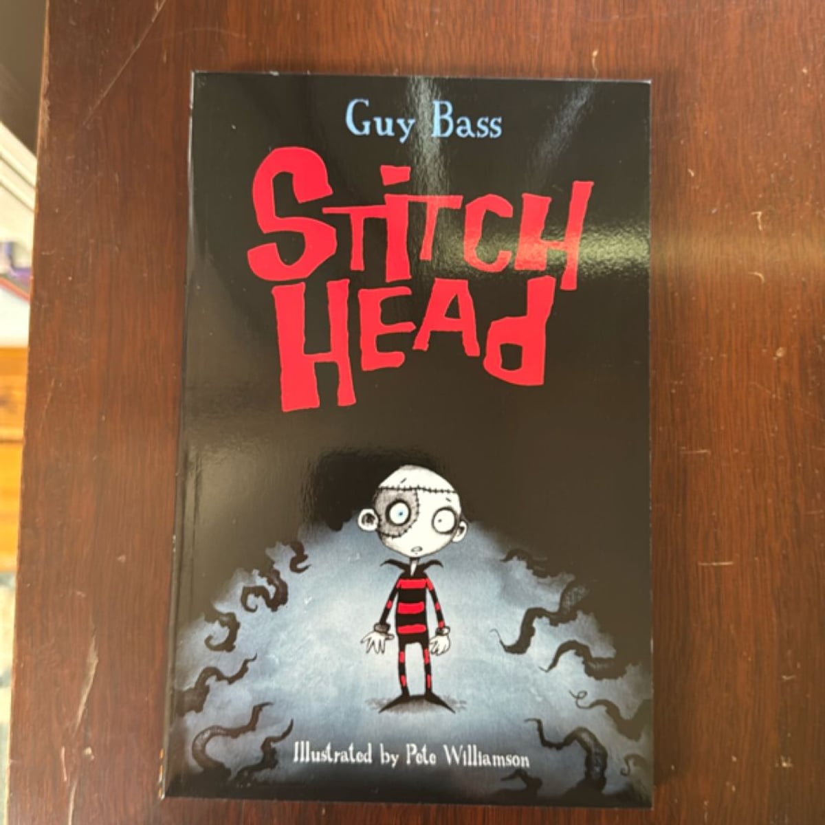 Stitch Head by Guy Bass
