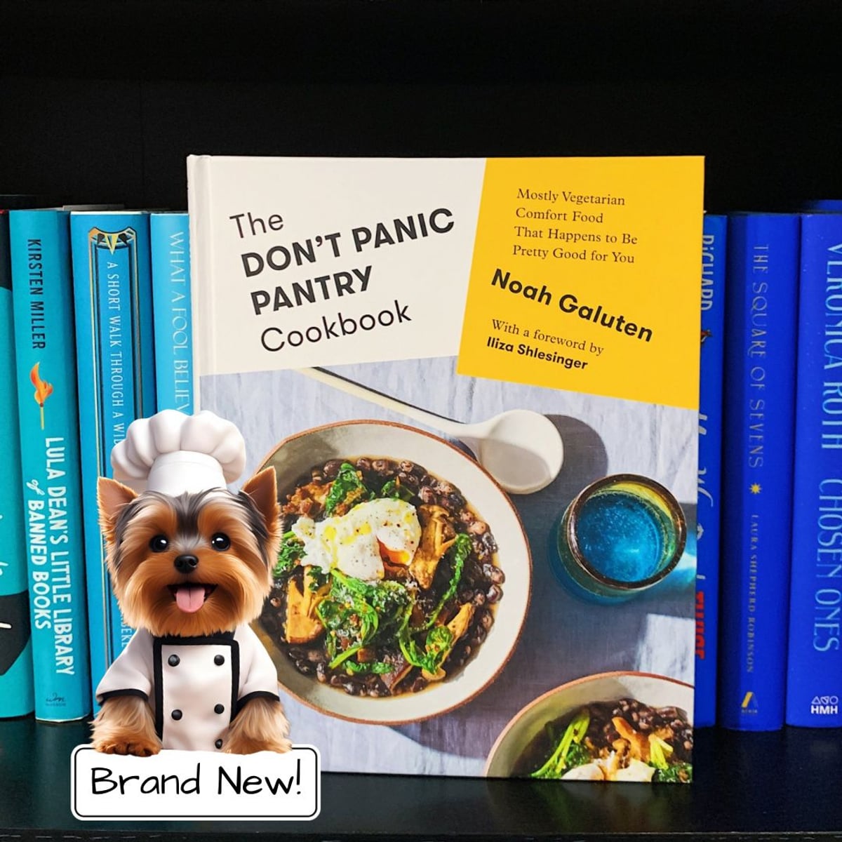 The Don't Panic Pantry Cookbook by Noah Galuten, Iliza Shlesinger