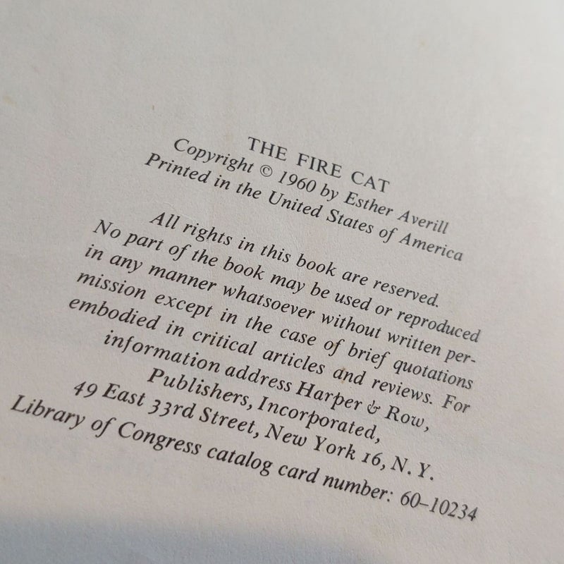 The Fire Cat